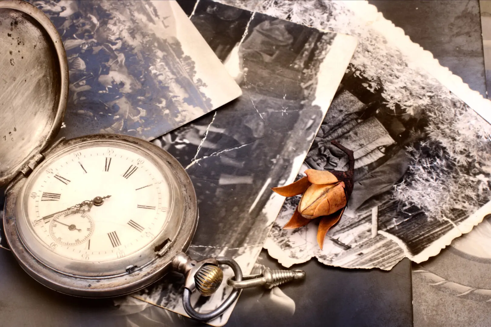 25 proverbi e detti romani: tra divertimento e cultura della capitale