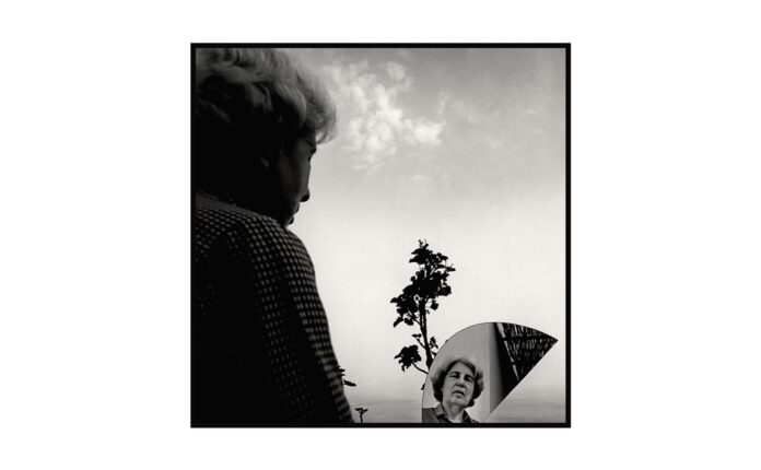 25 proverbi e detti romani: tra divertimento e cultura della capitale